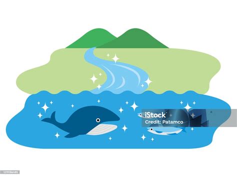一條河流的插圖 從山上流到大海 鯨魚和魚在乾淨的海裡流淌向量圖形及更多河圖片 河 山 圖示 Istock