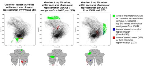 Figures And Data In Functional Gradients Of The Cerebellum Elife