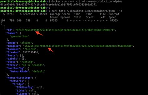 Lesson Hacking Containers Like A Boss Practical DevSecOps