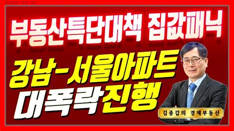 강남 서울아파트 대폭락진행 부동산특단대책 집값패닉 Youtube