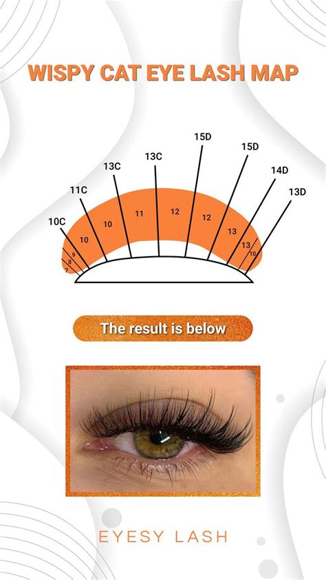 Wispy Cat Eye Lash Map Perfect Eyelashes Cat Eye Lash Eyelash