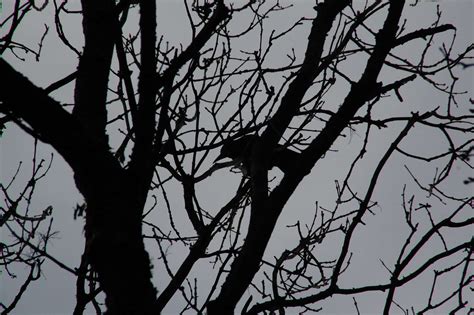 James Whetter Aa Prideaux