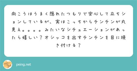 向こうはうまく隠れたつもりで安心して立ちションしているが、実はこっちからチンチンが丸見え。。。。みたいなシチュエ Peing 質問箱