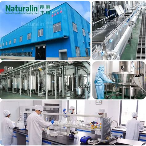 Buy Raspberry Extract Powder National Grade From Naturalin Bio