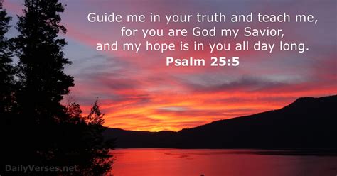 Bible Verse Of The Day 2024 Peggi Tomasine