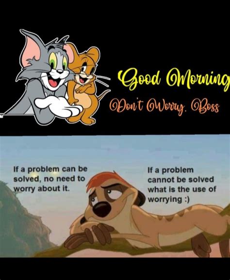 If The Problem Cant Be Solved Why Worry
