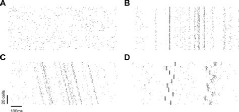 Population Behavior Raster Plots Of Different Patterns Of Network
