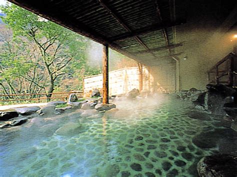 栃木温泉の温泉旅館・ホテル一覧 【楽天トラベル】