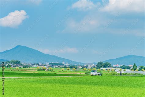 日本の田舎風景 Stock Photo Adobe Stock
