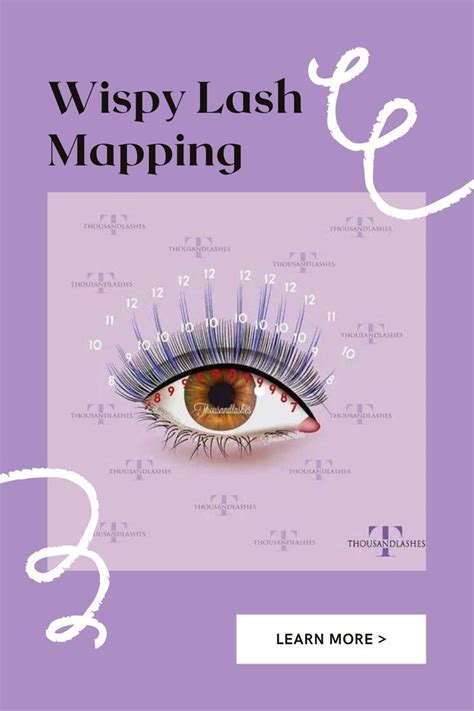A Comprehensive Guide To Lash Mapping Wispy Lashes Lashes Whispy Lashes