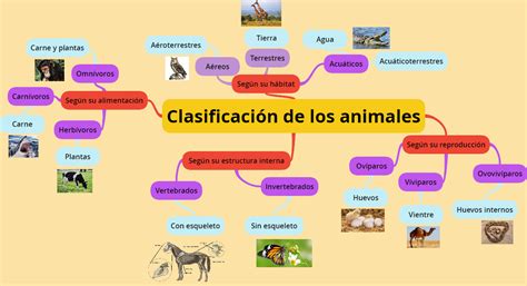 Ciencias Naturales Grado Segundo Mapa Mental Clasificacion De Los