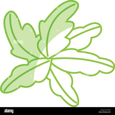 Tea Leafs Product Icon Stock Vector Image And Art Alamy