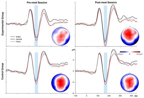 Embedded Heads Depict Scalp Topographies Of The Difference Waves