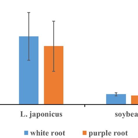 Numbers Of Nodules Formed Per Dry Weight Of Soybean And L Japonicus
