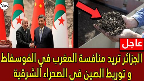الصين تنسحب من مشاريع فوسفاط الجزائرو الجزائر في حالة هستيريا غير