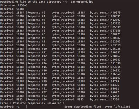 Winapi Can Not Transmit Last Packet With Recv Server Client C File