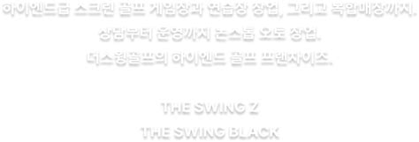 더스윙 The Swing Black