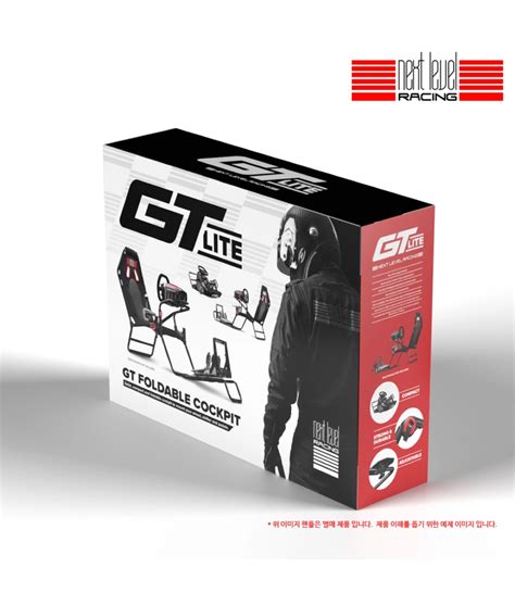 넥스트 레벨 Gt 라이트 레이싱 시트 당근 중고거래