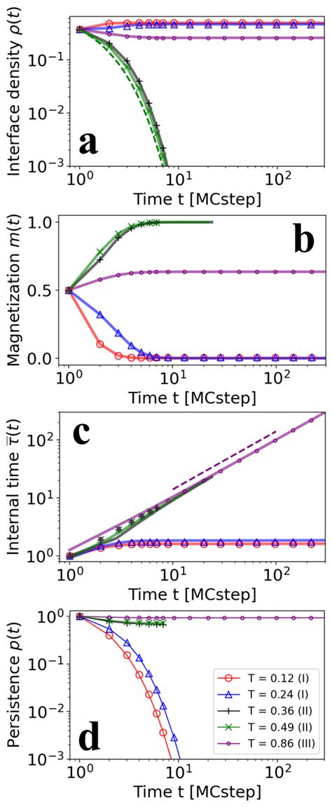 Evolution Of The Average Interface Density ρ T A The Average