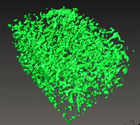 New Course On Nanotechnology Showcases Vast Potential To Benefit The