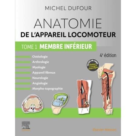 Anatomie De L Appareil Locomoteur Tome 1 Michel Dufour 2023