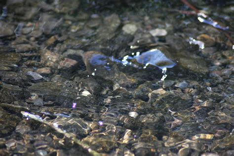 7 Common Drainage Patterns