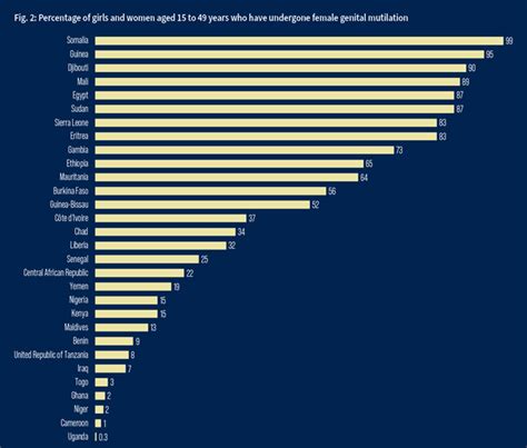 Analysis Of The Unicef 2024 Report Global Situation Of Fgm News En Cop Fgm Mgf