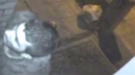 Police Hunt For Serial Sex Attacker After Eight Women Are Assaulted In
