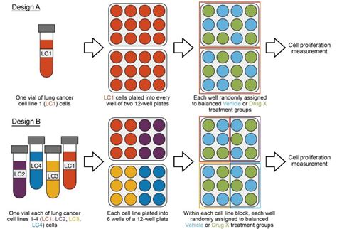 On Linkedin Organoid Spheroid
