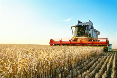 Highlights From The Usdas 2022 Commodity Outlook Reports Modern Farmer