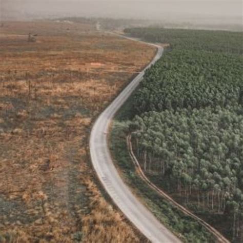 Amazon Rainforest Deforestation Dataset Kaggle