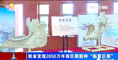 甘肃省发现2650万年前巨犀新种“临夏巨犀”腾讯新闻