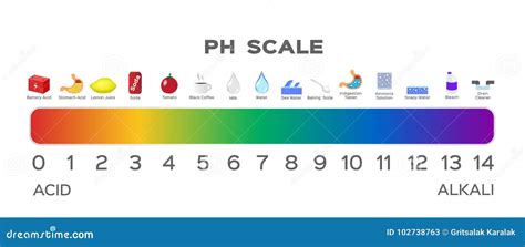 Gráfico De La Escala Del Ph ácido A Basar Ilustración Del Vector