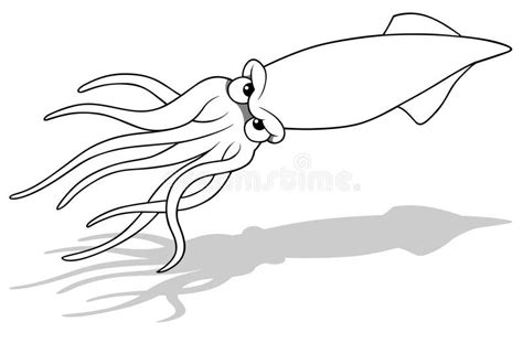 Desenho De Uma Lula Rabugenta Tentáculos Longos Ilustração do Vetor Ilustração de calamar