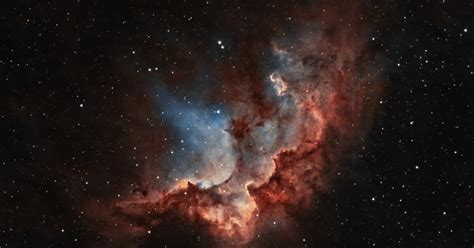 Wizard Nebula Telescope Live