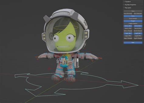 Kerbal Space Program Face