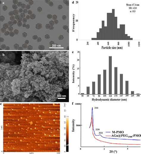 A TEM B SEM C AFM D The Particle Size Distribution Histogram Obtained