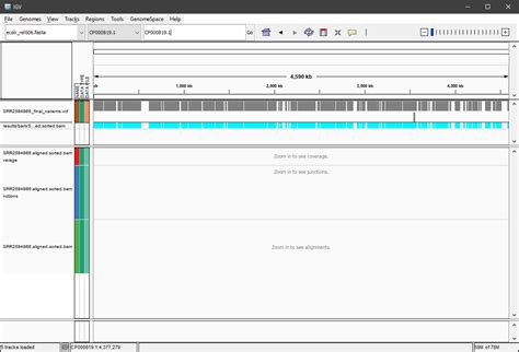 Variant Calling Workflow Data Science In Omics Introduction