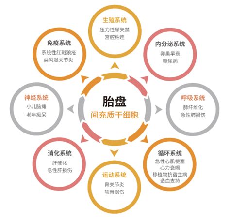 牙髓干细胞库泓信生物—牙髓干细胞｜干细胞储存｜美容抗衰老｜口腔干细胞｜乳牙干细胞｜干细胞治疗