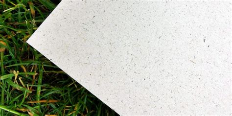 Pappers Hållbarhet Är Papper Miljövänligt