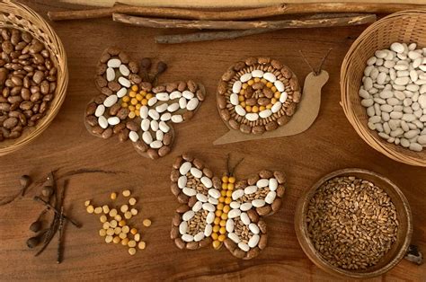 Cardboard Snail And Butterfly Seed Mosaics Woodlark Blog