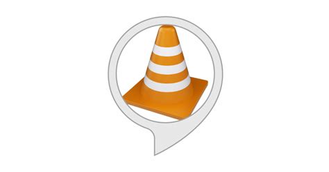 Alexa Skill Development Dilli Labs