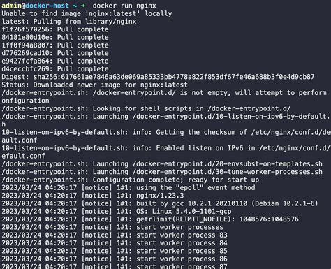 How To Run A Docker Image As A Container