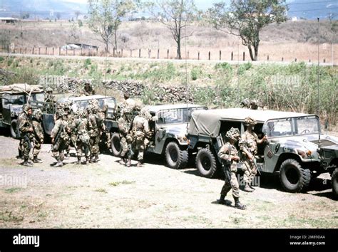 Bn Th Ranger Regt In Operation Golden Pheasant