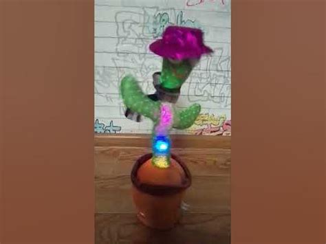кактус танцует - YouTube
