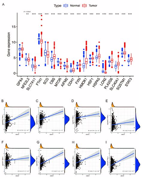 Expression Of The Ferroptosis Suppressor Gene In Glioma And Its