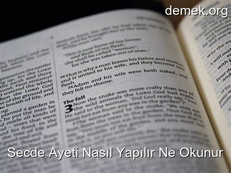 Secde Ayeti Nasıl Yapılır Ne Okunur Ne Demek