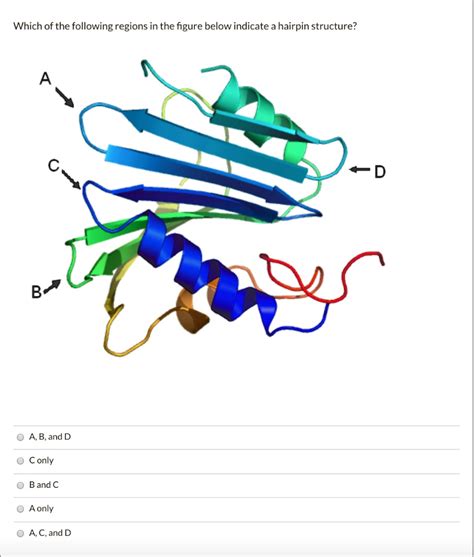 SOLVED Which Of The Following Regions In The Figure Below Indicate A Hairpin Structure A Be A
