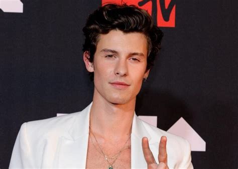 Shawn Mendes Announces New Song It Ll Be Okay