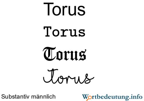 Torus Einfach Erklärt ⭐ Beispiele